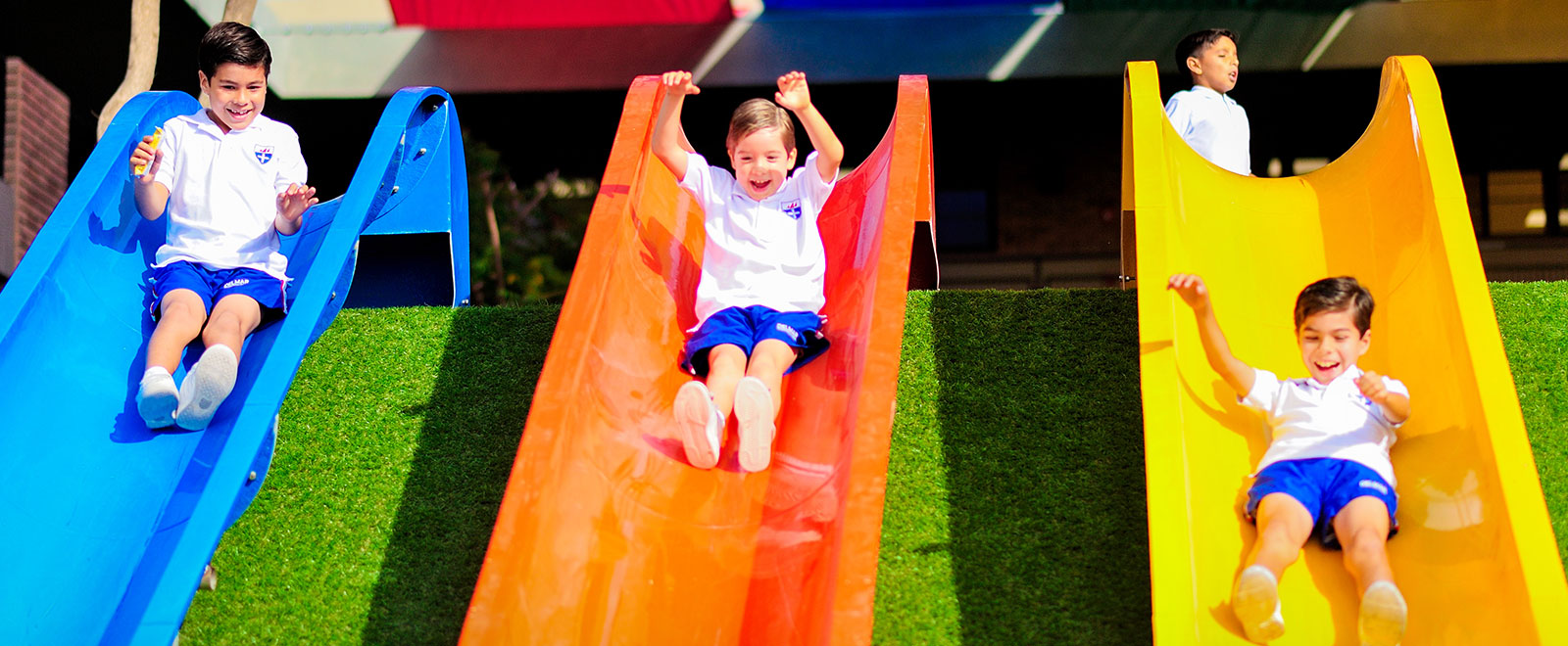 Educational Levels Delmar School